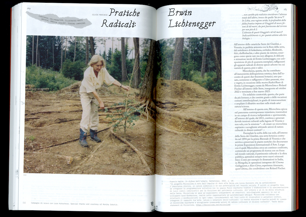 Robida | Robida 9: Soil